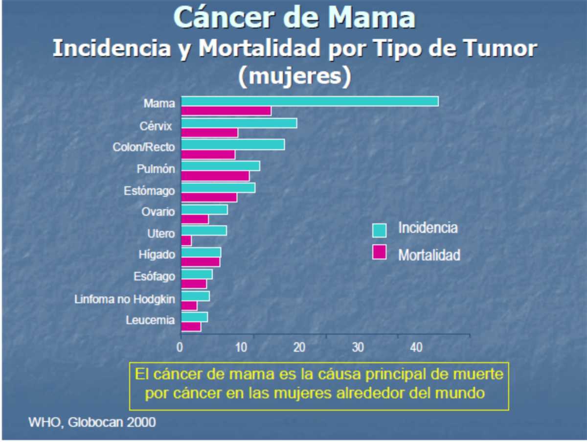 Paloma, la primera niña que nació sin riesgo de padecer cáncer de mama ...