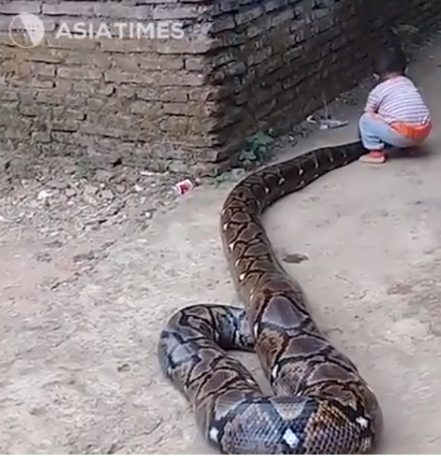 Graban el inquietante momento en que un pequeño se divierte jugando con ...